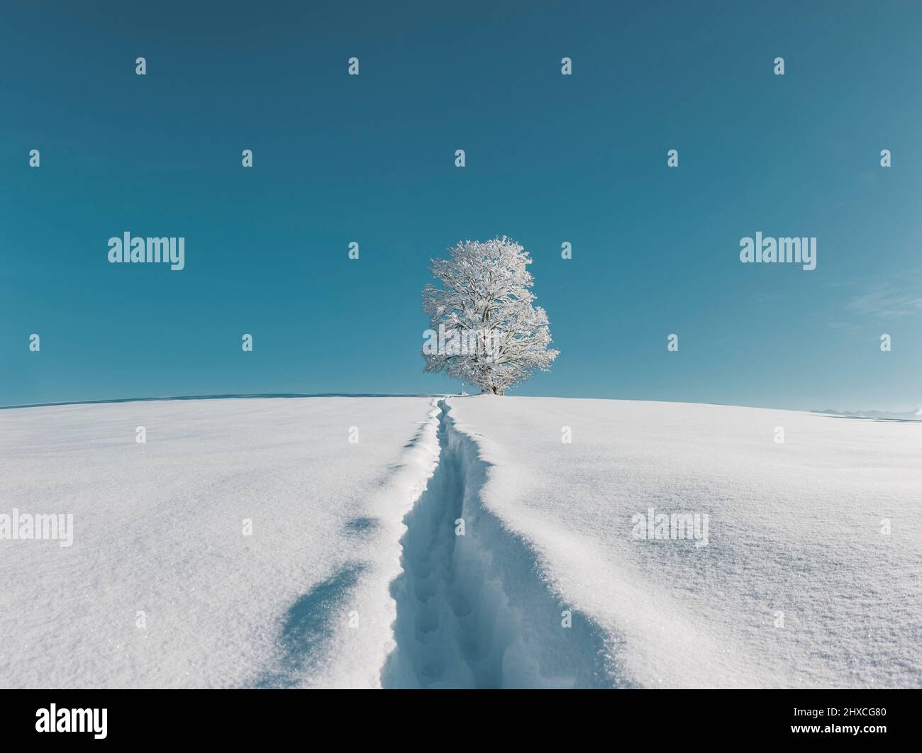 Covered pathway hi-res stock photography and images - Alamy