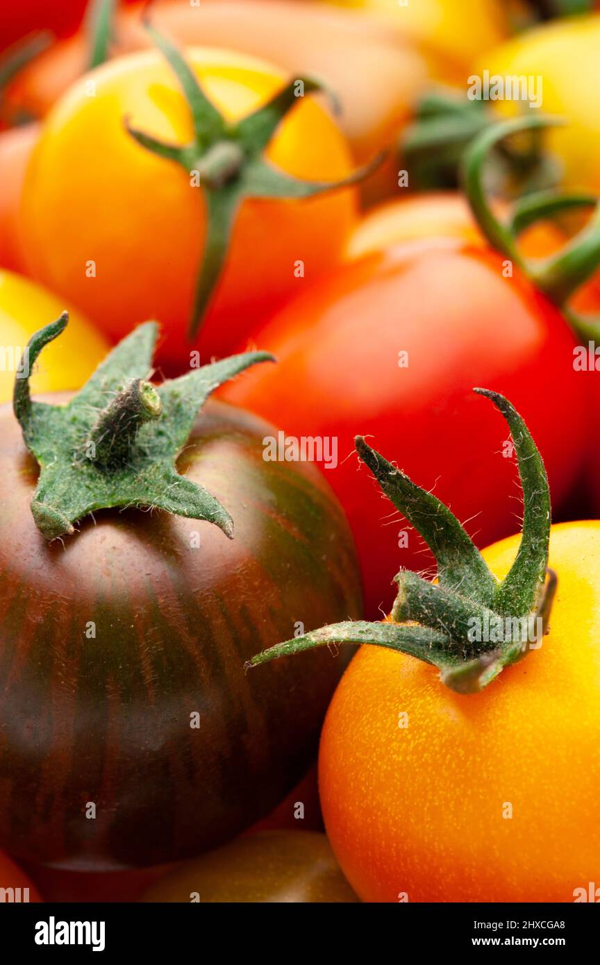 Cocktail tomatoes hi-res stock photography and images - Alamy