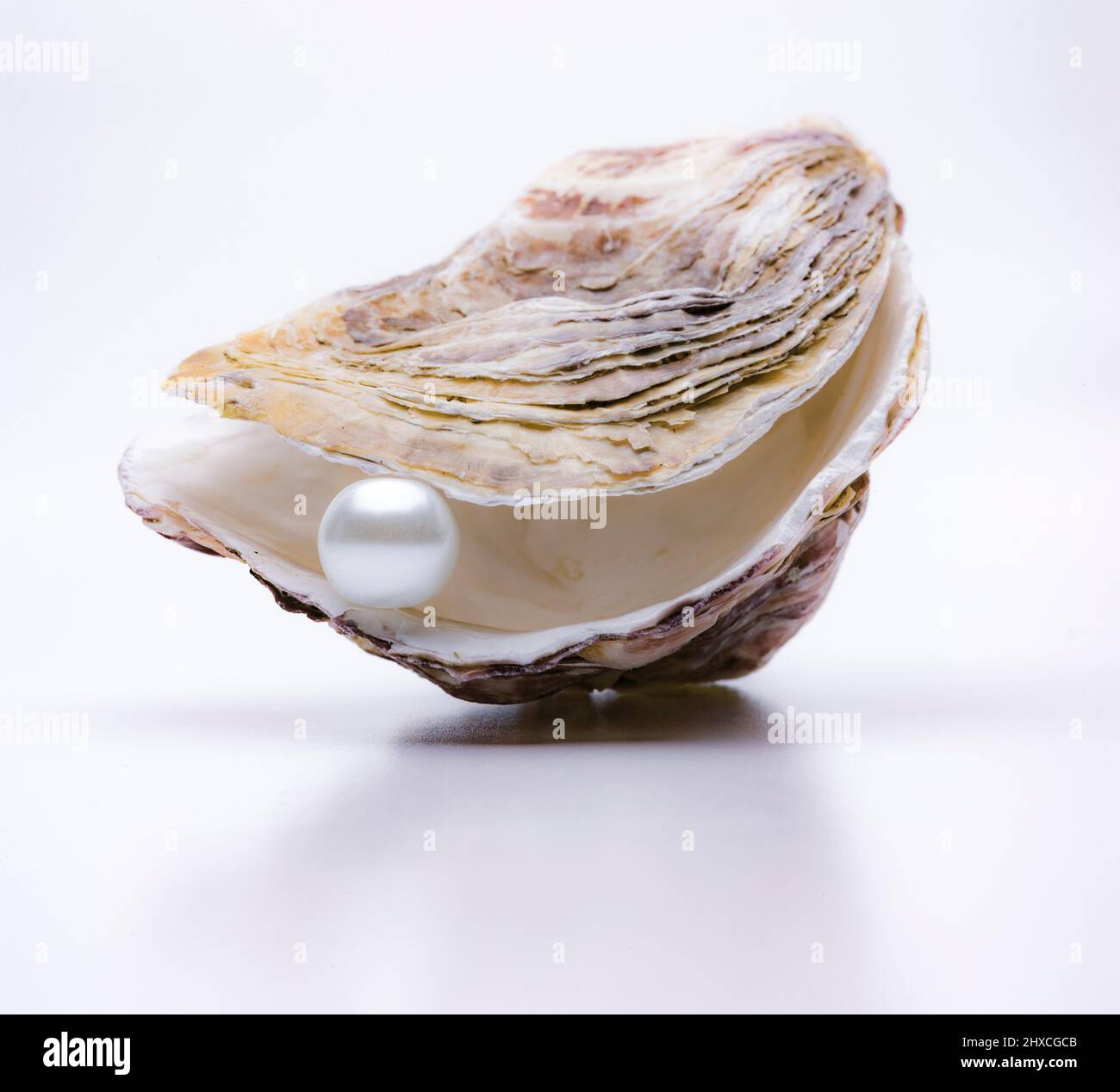 Pearl in oyster shell hi-res stock photography and images - Alamy