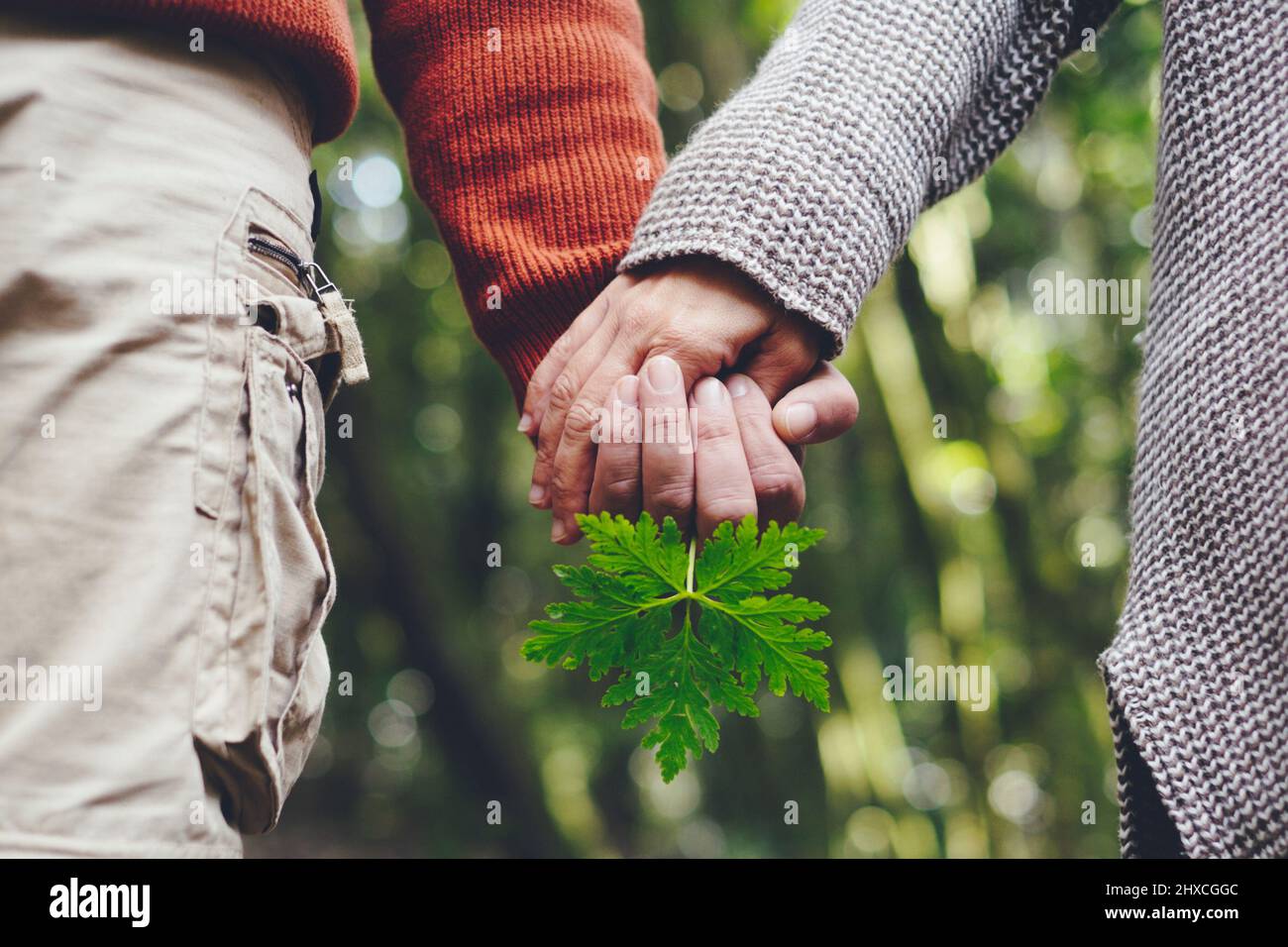 Human hands hold planet hi-res stock photography and images - Alamy