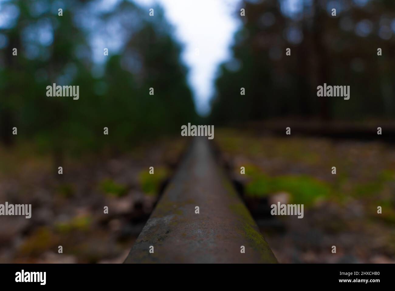 Old unused railway tracks, shallow depth of field, soft bokeh ...