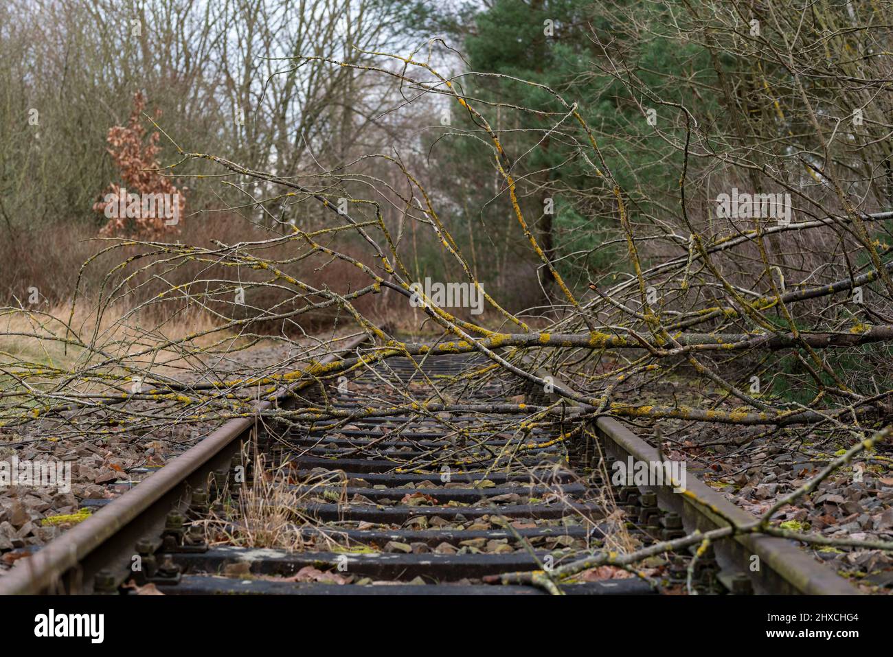 Branches from a tree lie on the tracks hi-res stock photography and ...
