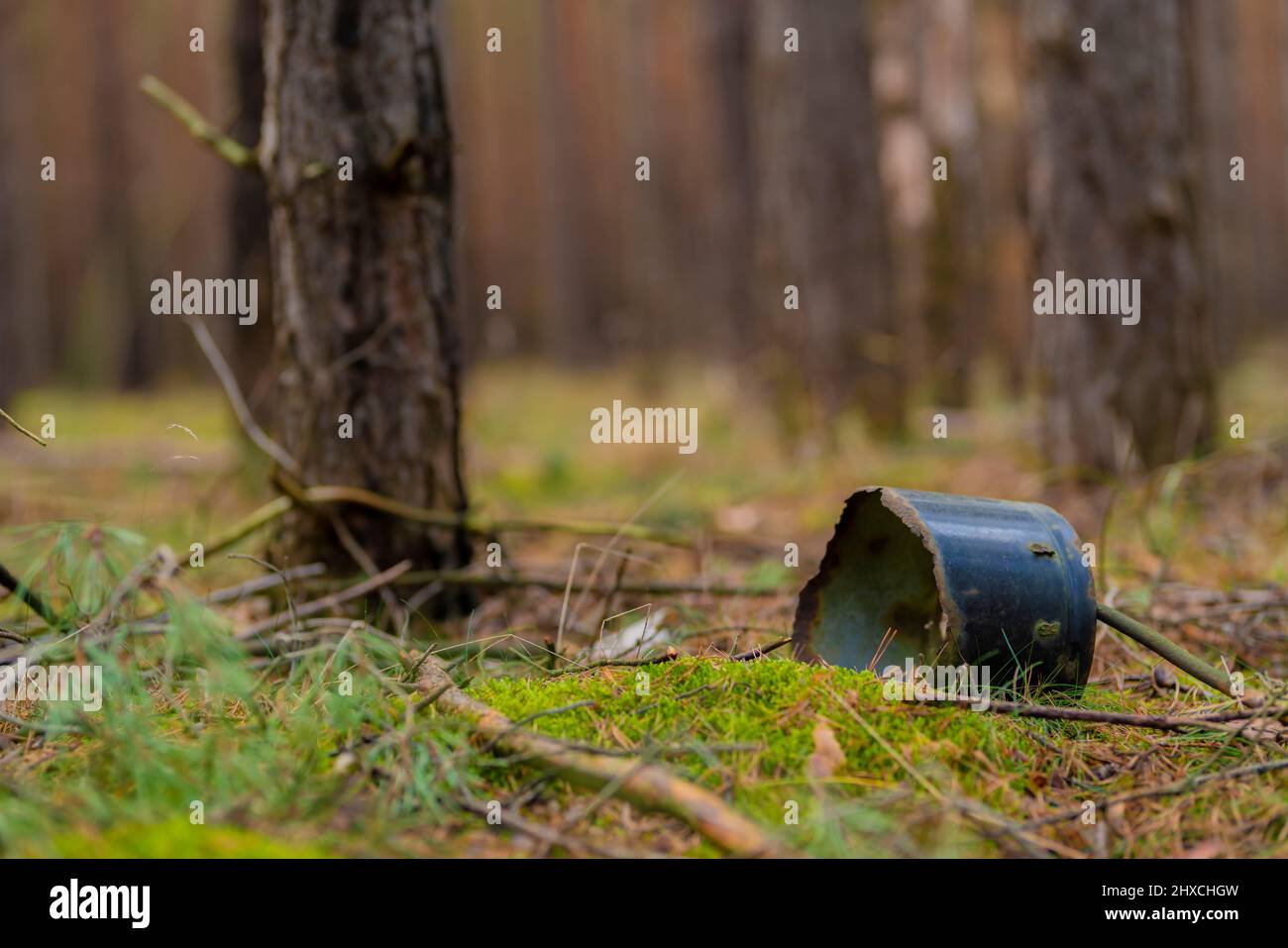 Rusted broken old metal bucket in a pine forest hi-res stock ...