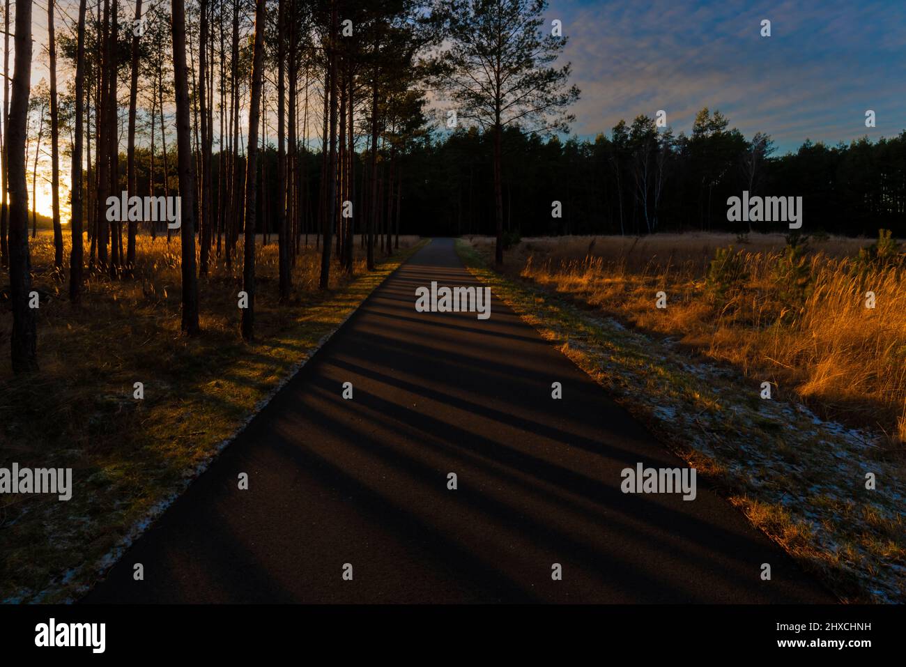 Cycle path in nature in winter just before sunset Stock Photo - Alamy