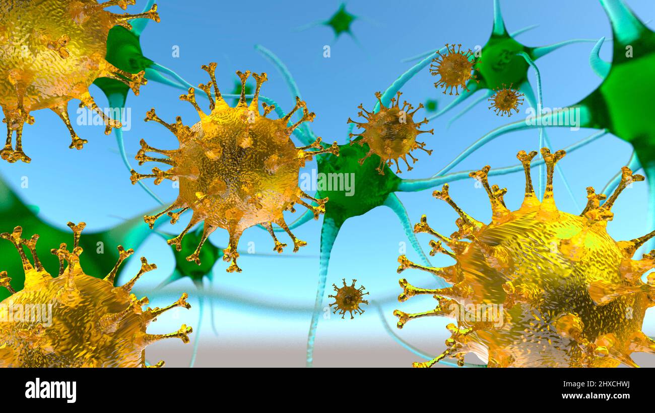 Yellow corona viruses in front of green brain cells Stock Photo - Alamy