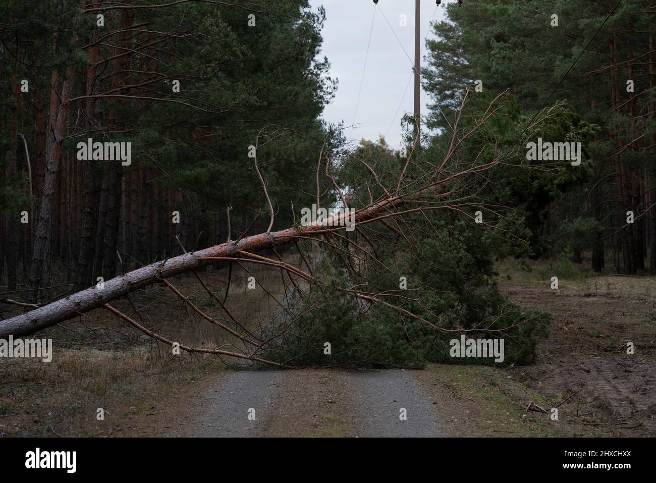 Dangerous situation for walkers hi-res stock photography and images - Alamy