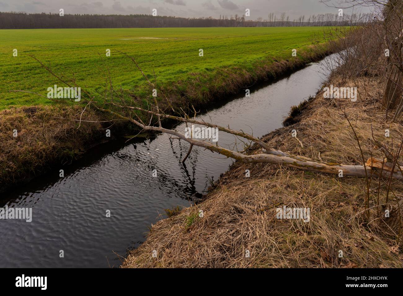 Storm damage, broken branch lies over a small river after a storm Stock ...