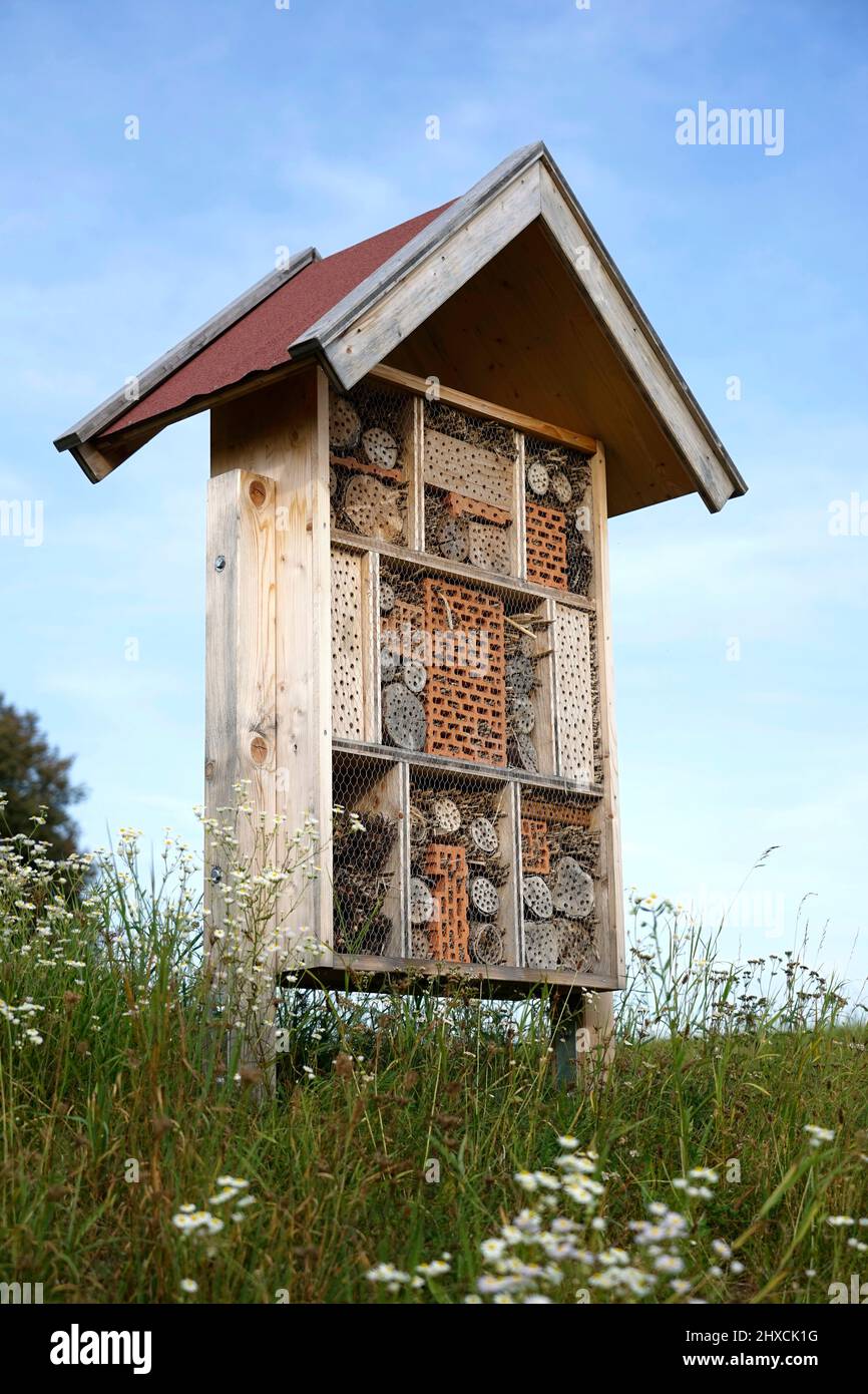 Insect hotel in a meadow hi-res stock photography and images - Alamy