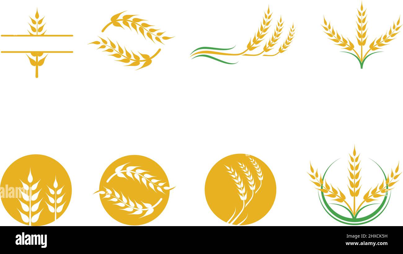 Agriculture wheat vector icon design Stock Vector Image & Art - Alamy