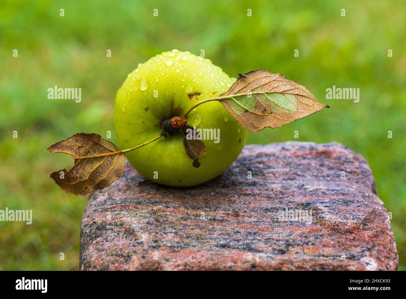 Close up apple on hi-res stock photography and images - Alamy