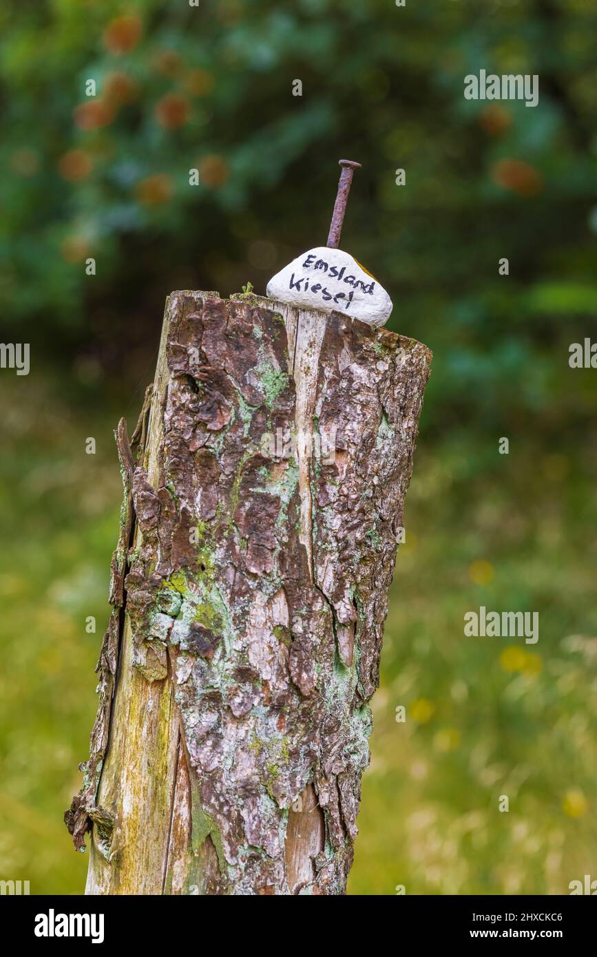 Wooden stake with rusty nail and stones, blurred green background ...
