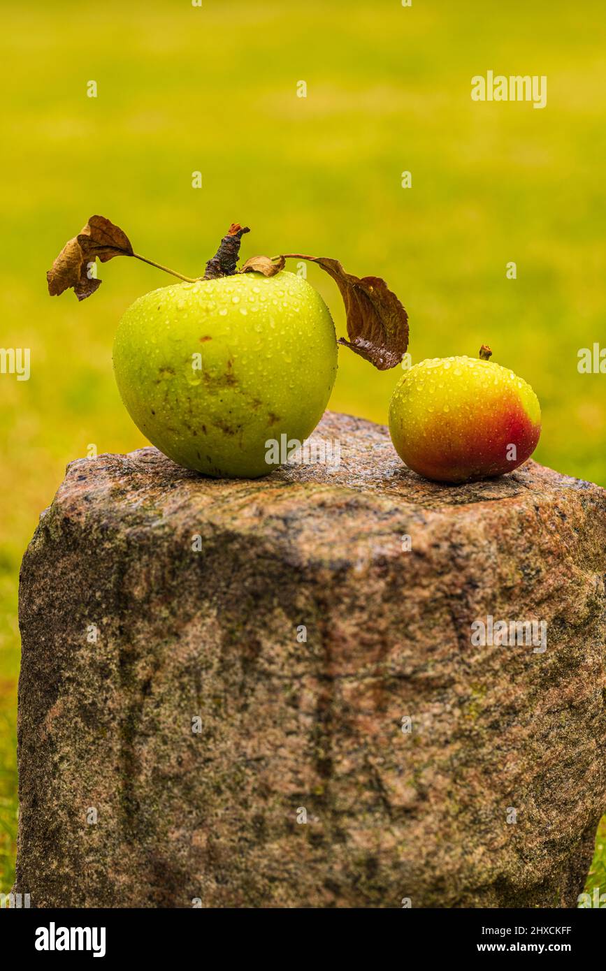 Apples laid on a stone hi-res stock photography and images - Alamy