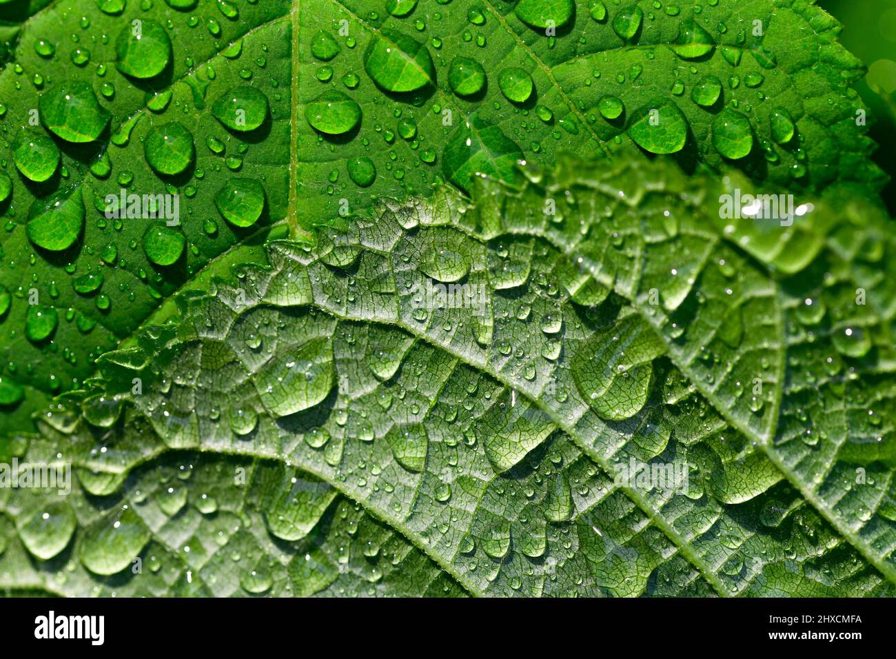 Structure water hi-res stock photography and images - Alamy