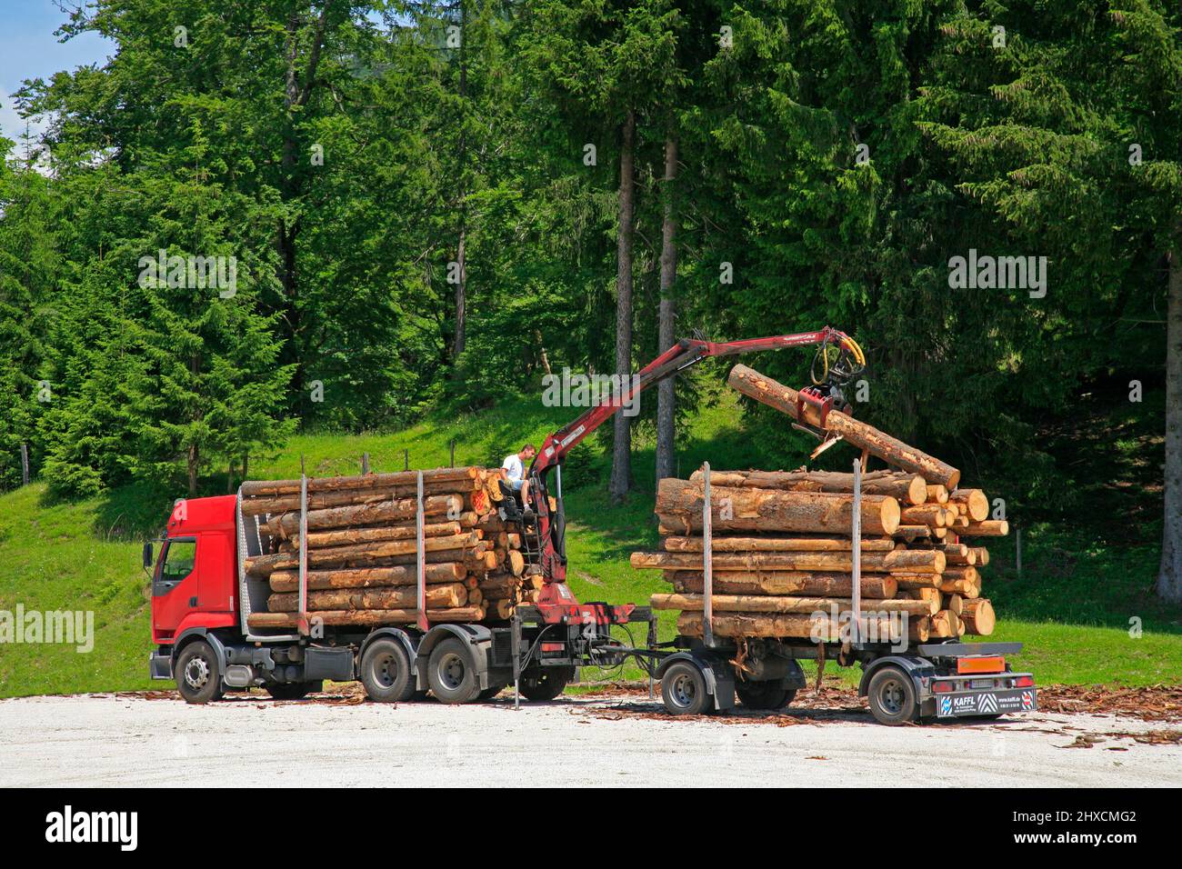 Logs are loaded by crane onto truck trailer hi-res stock photography ...