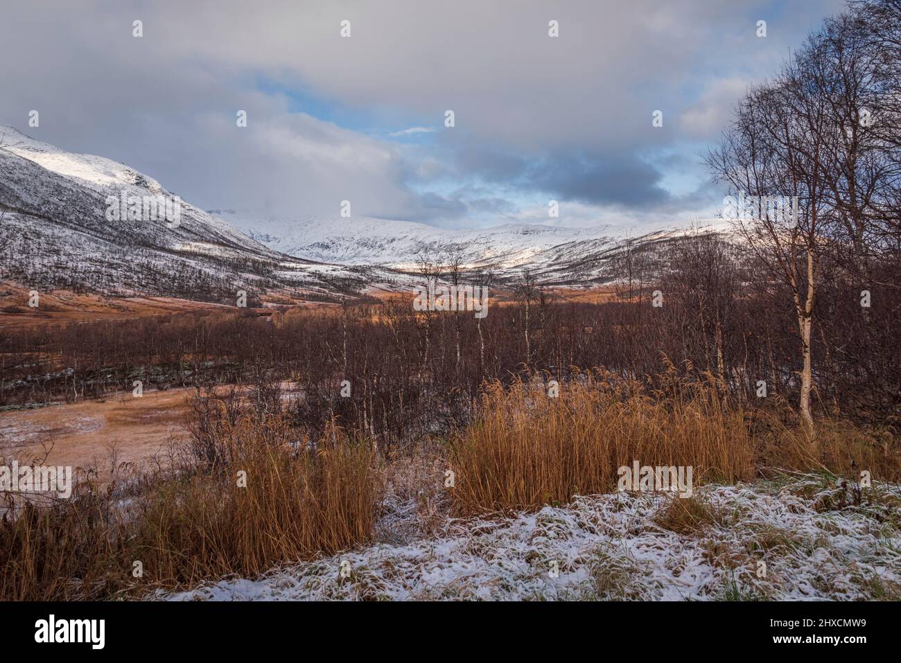 Drive through the beautiful Anderdalen National Park (Anderdalen ...