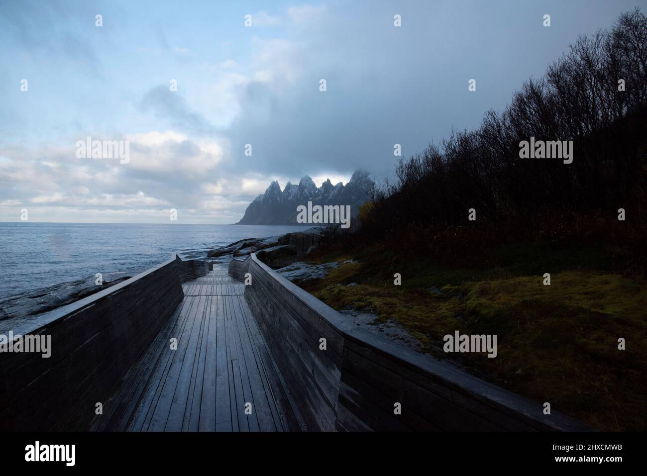 Wooden teeth hi-res stock photography and images - Alamy