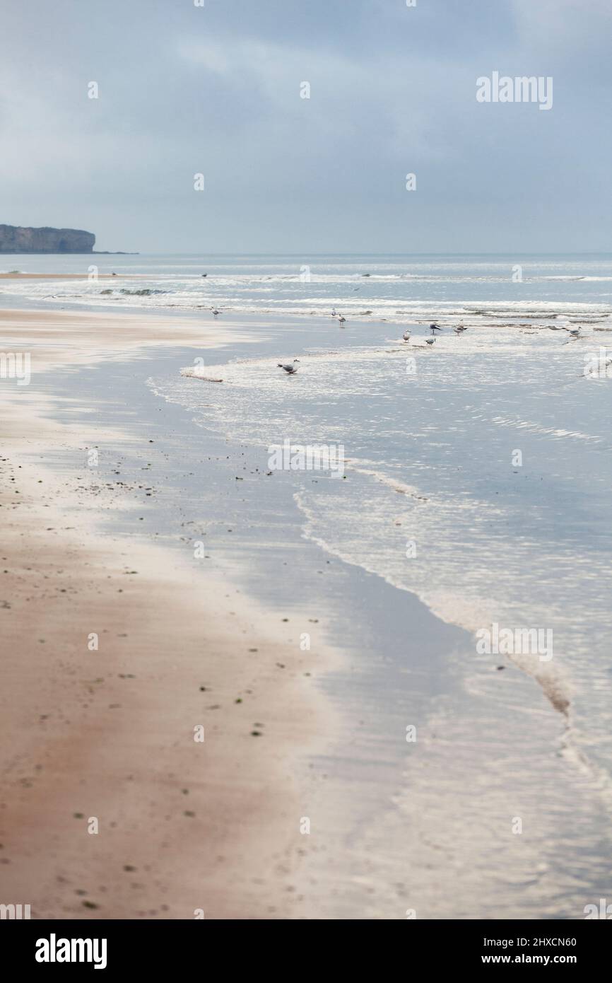 Calm tide hi-res stock photography and images - Alamy