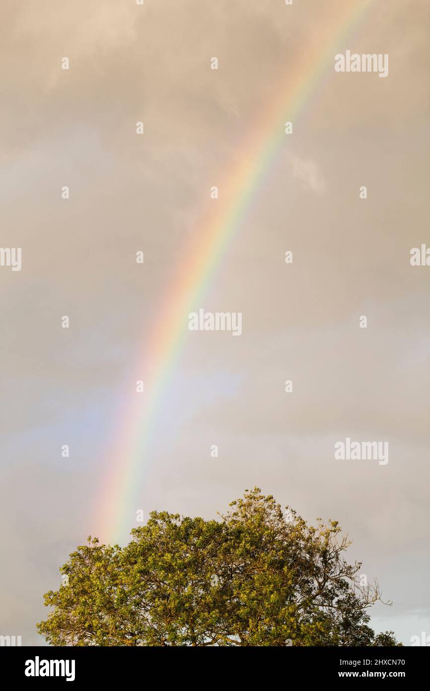 Beautiful thunder hi-res stock photography and images - Alamy