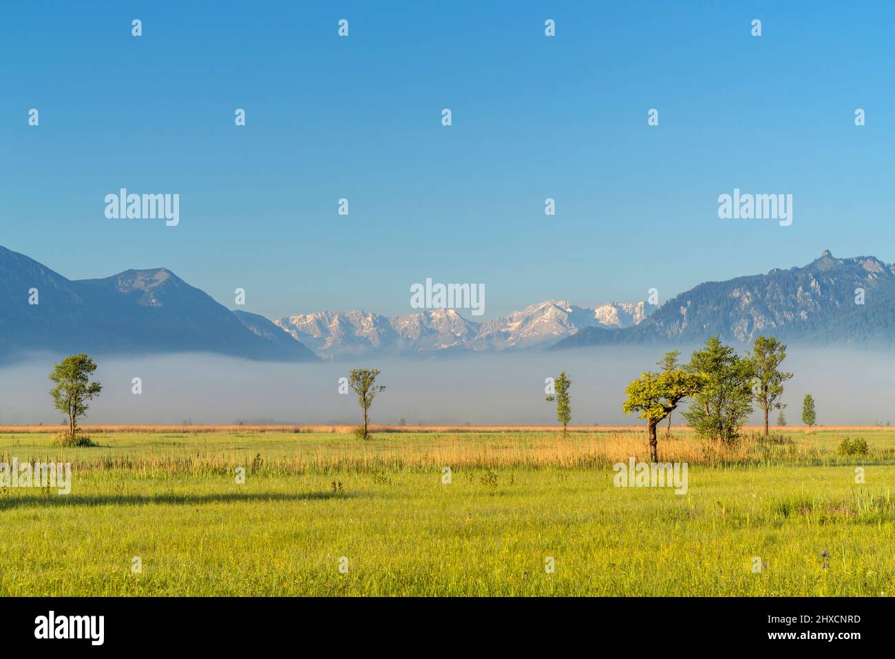 View over the murnauer moos to the bavarian alps hi-res stock ...