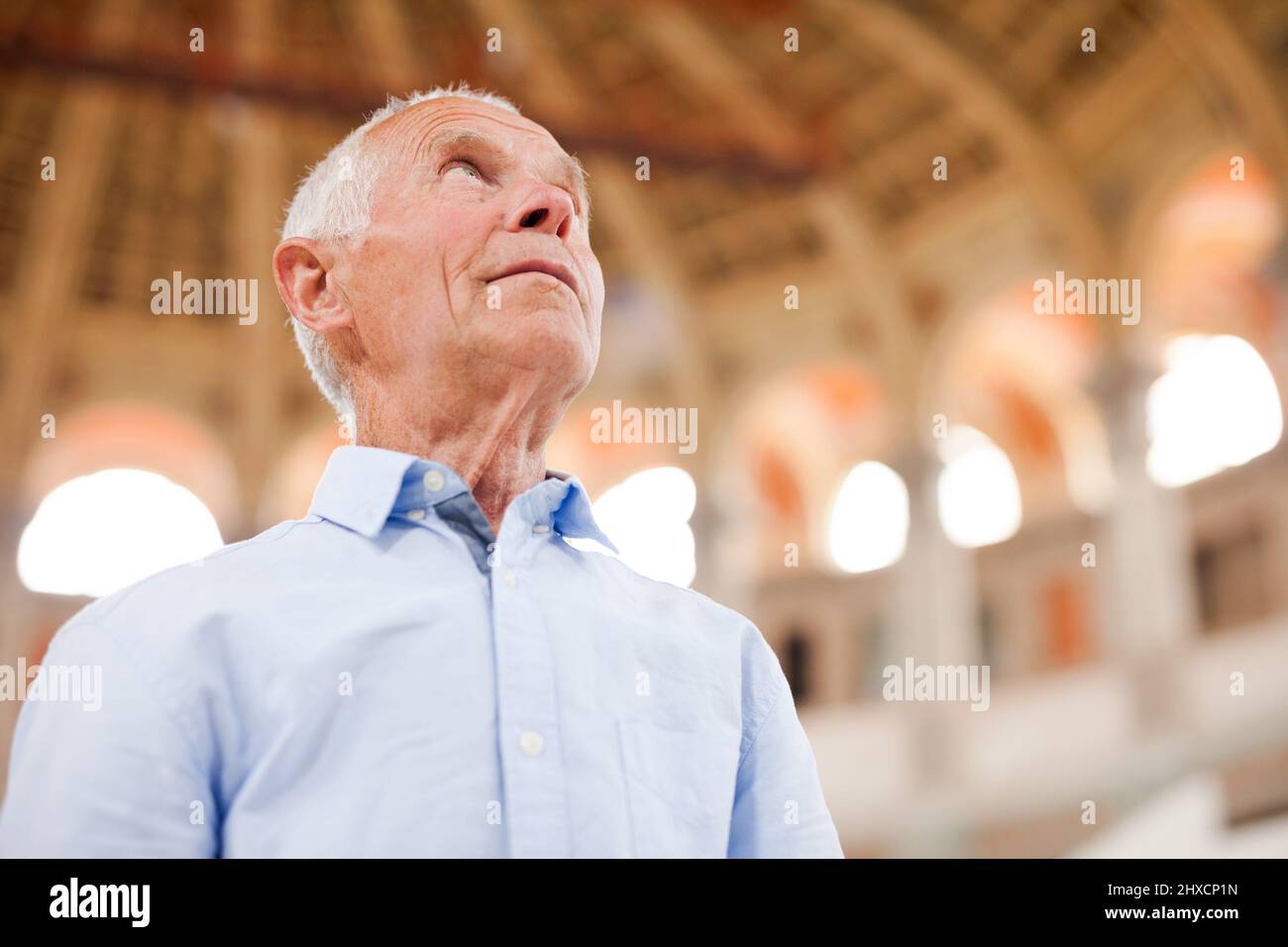 Man observing museum exposition Stock Photo - Alamy