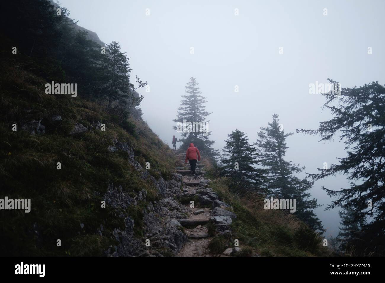 Mountain path in fog hi-res stock photography and images - Alamy