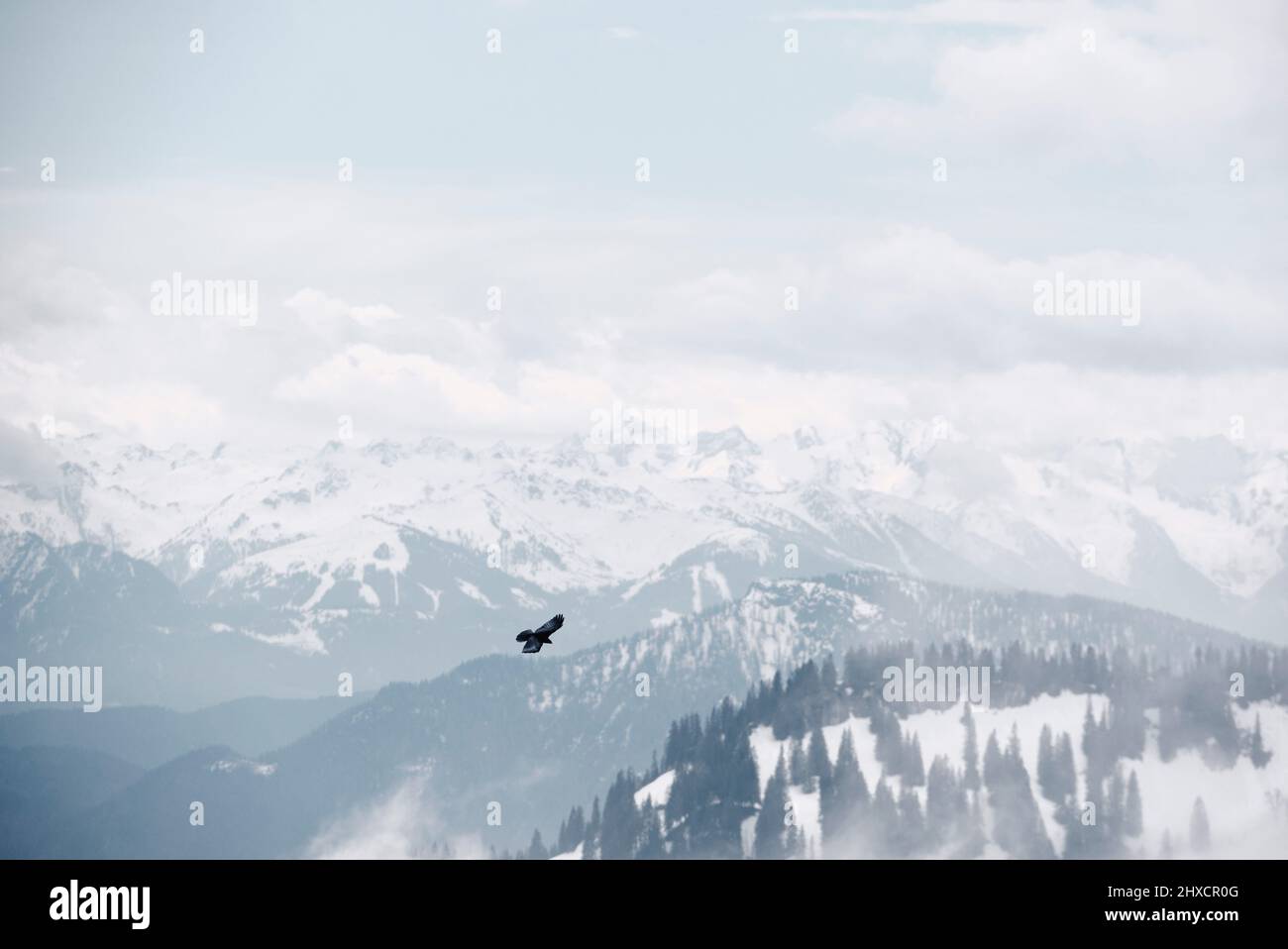 Partly covered hi-res stock photography and images - Alamy