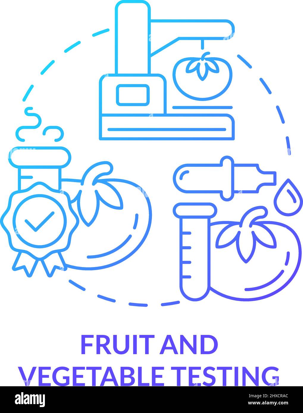 Fruit quality control Stock Vector Images - Alamy