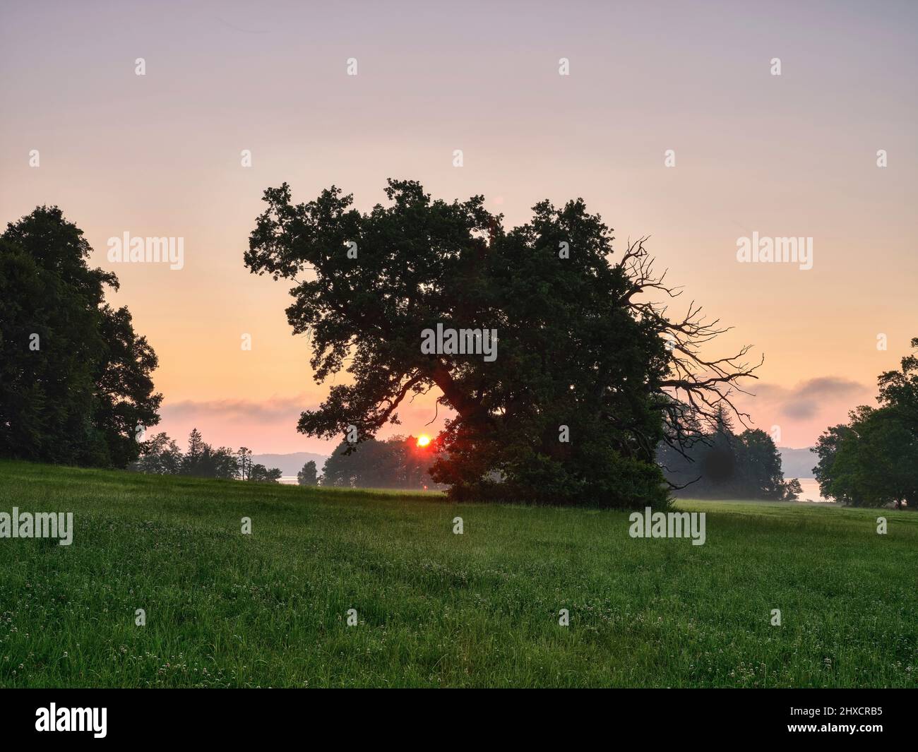 In Bernried Park, Bernried on Lake Starnberg Stock Photo - Alamy