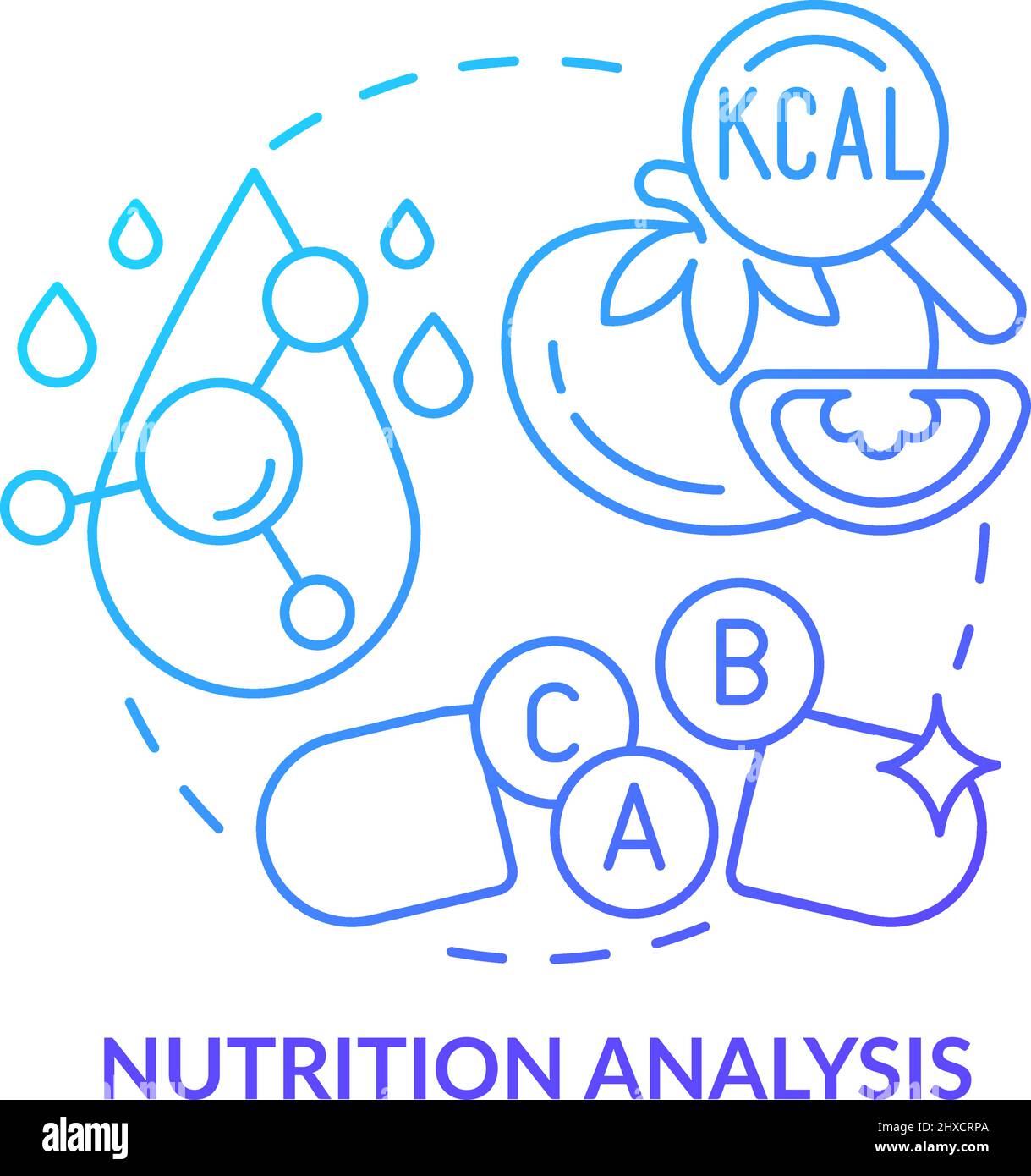 Nutrition analysis blue gradient concept icon Stock Vector Image & Art ...