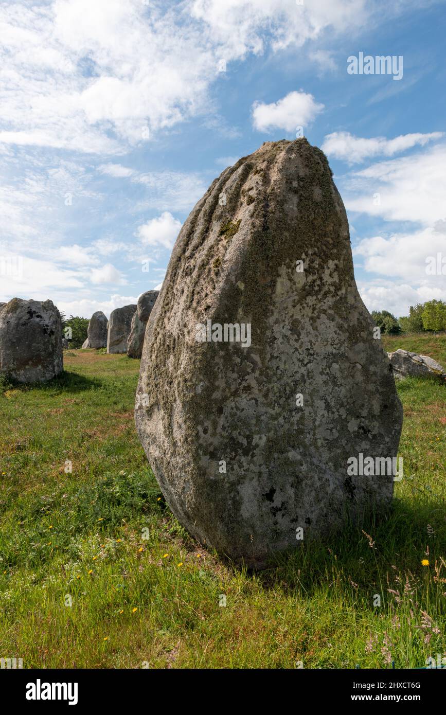 standing stones of Menec alignment in Carnac, Brittany, France Stock ...