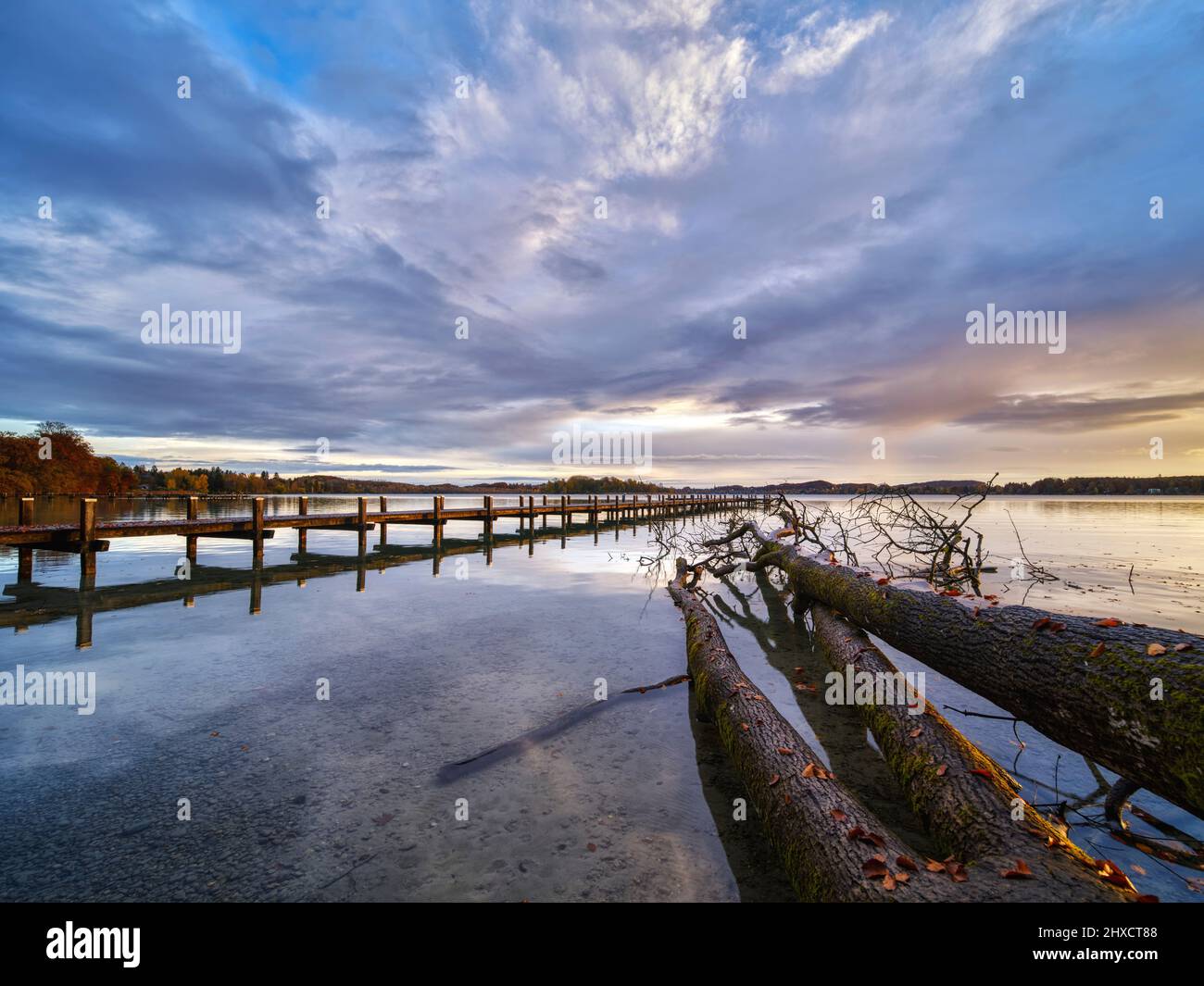 Footbridge and fallen trees at lake worthsee hi-res stock photography ...