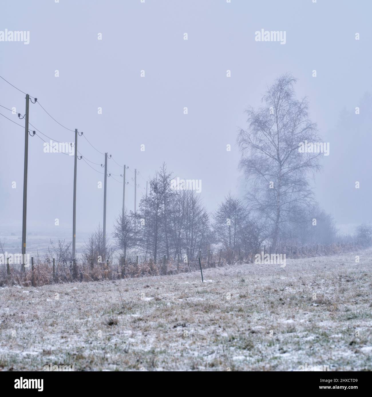 Wooden power poles hi-res stock photography and images - Alamy