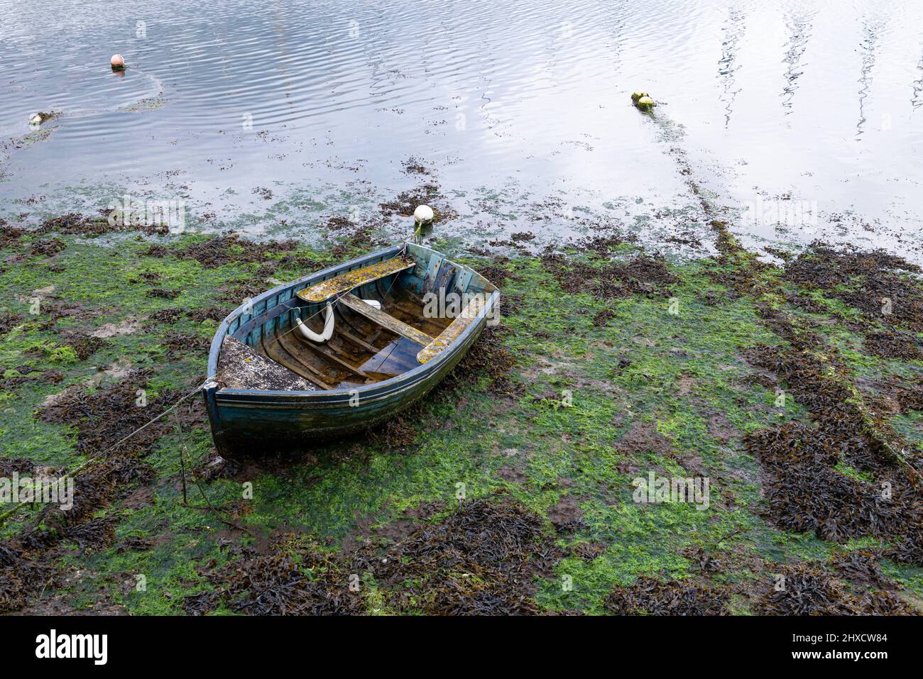 fisherboat lying on side surrounded by algae, concarneau, Bretange ...