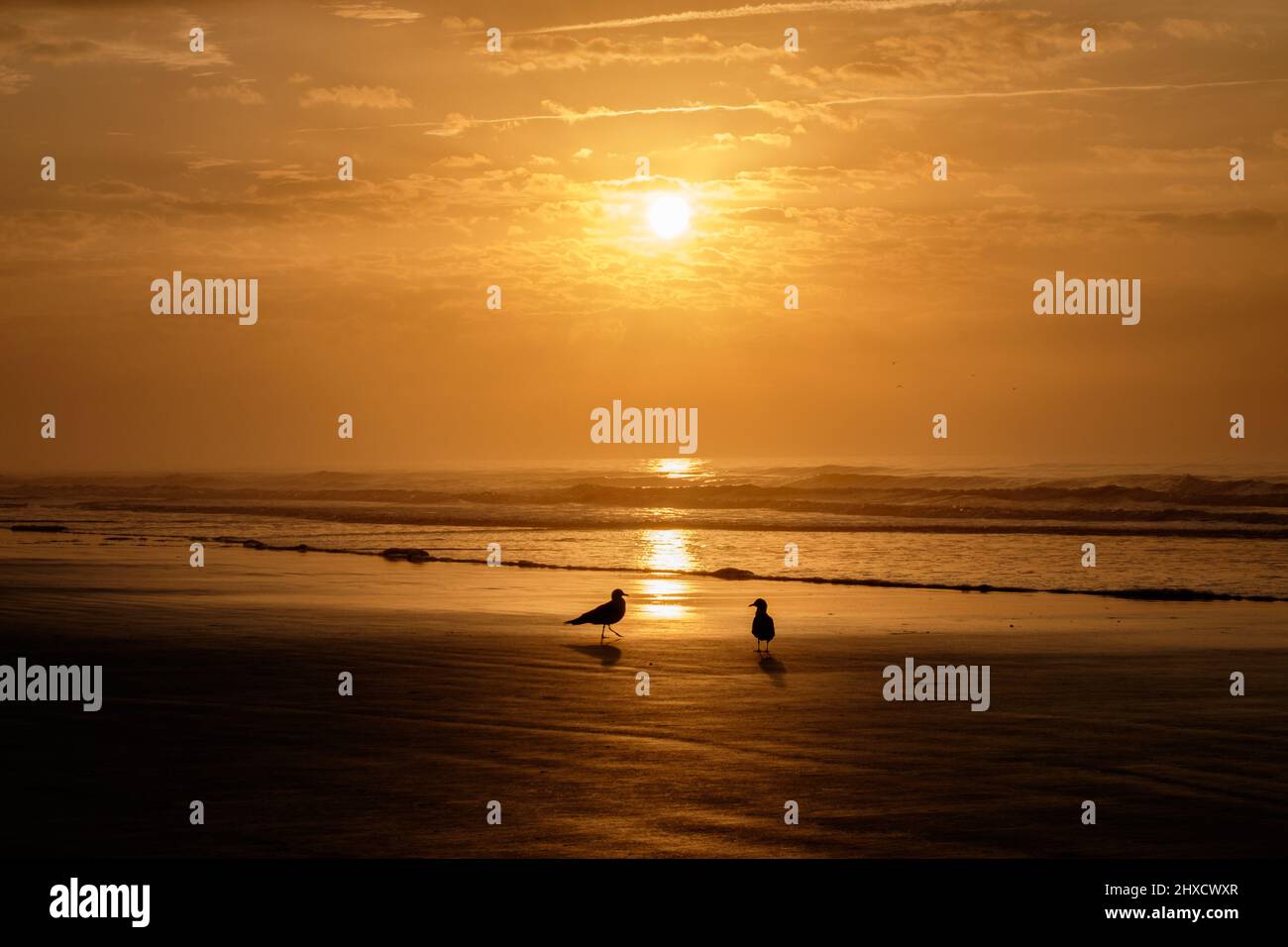 Colorful sunset beachscape hi-res stock photography and images - Alamy