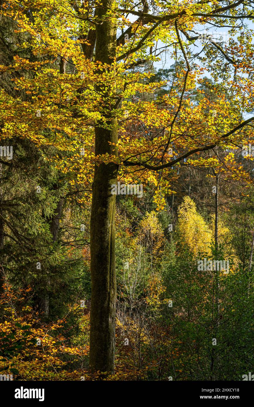 Book about nature reserves hi-res stock photography and images - Alamy