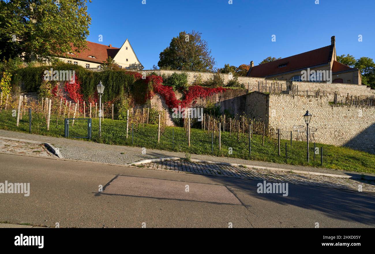 Church of the Franciscan monastery in Zeitz, Burgenlandkreis, Saxony ...