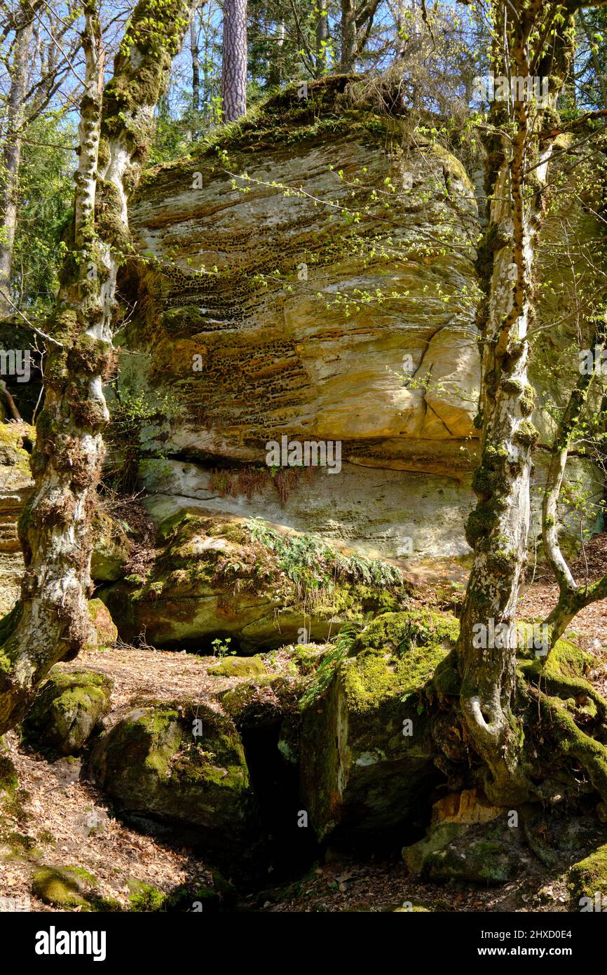 Rock labyrinth below the ruins of the northern castle Lichtenstein in ...