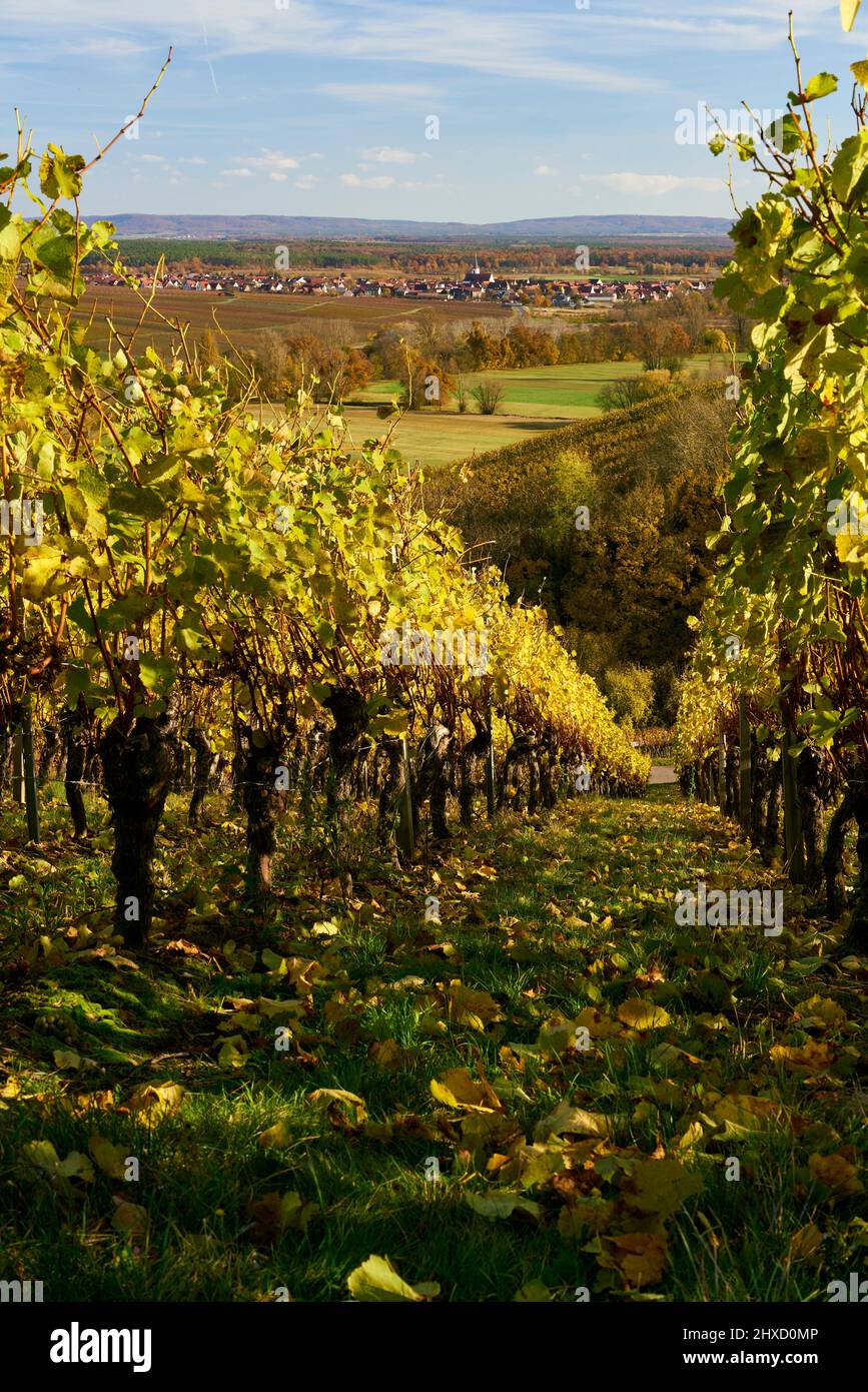 Neuses am main hi-res stock photography and images - Alamy