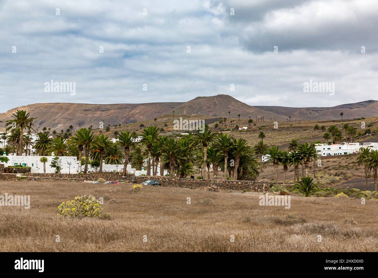 View of Haria, Valley of 1000 Palms, Lanzarote, Canary Islands, Spain ...
