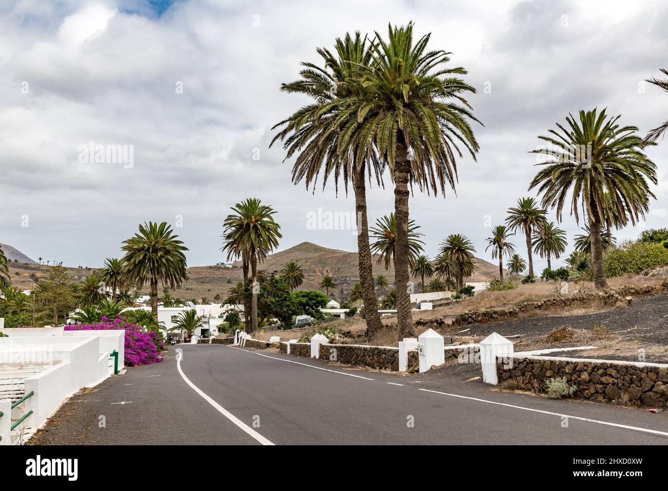 Haria, Valley of 1000 Palms, Lanzarote, Canary Islands, Spain, Europe ...