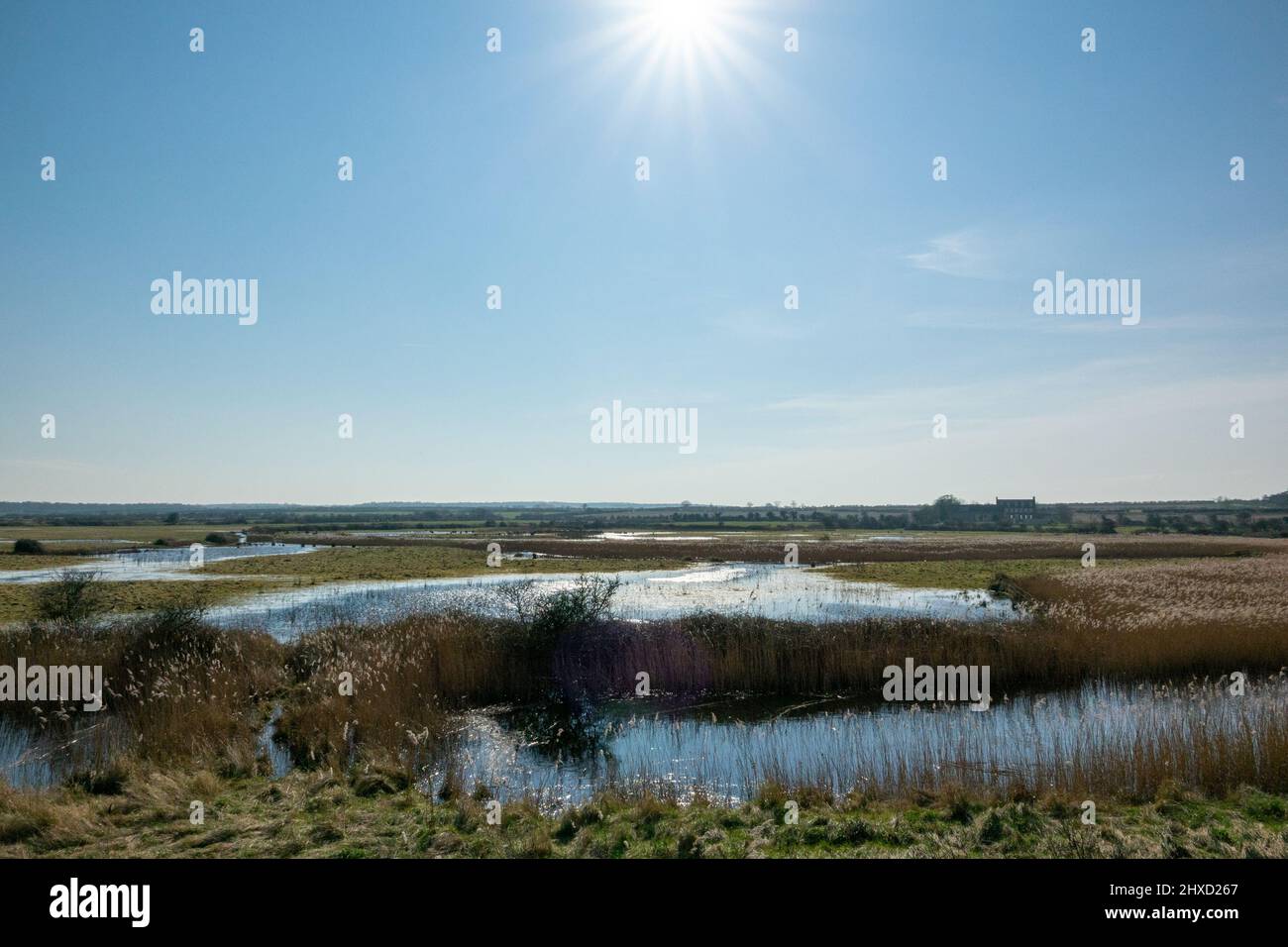 Wetland, Marshes, Holkham National Nature Reserve Stock Photo - Alamy