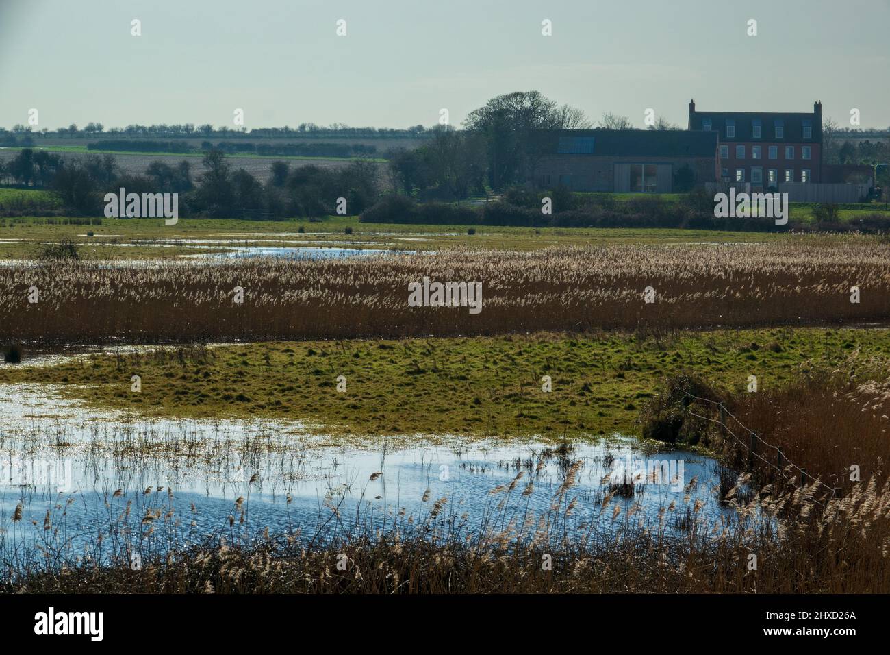 Wetland, Marshes, Holkham National Nature Reserve Stock Photo - Alamy