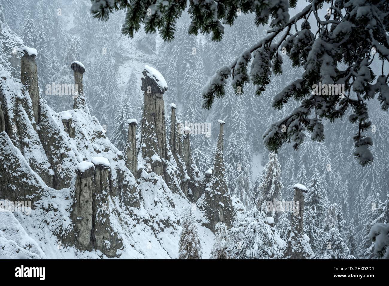 Percha, Province of Bolzano, South Tyrol. Italy. The first snow at the ...