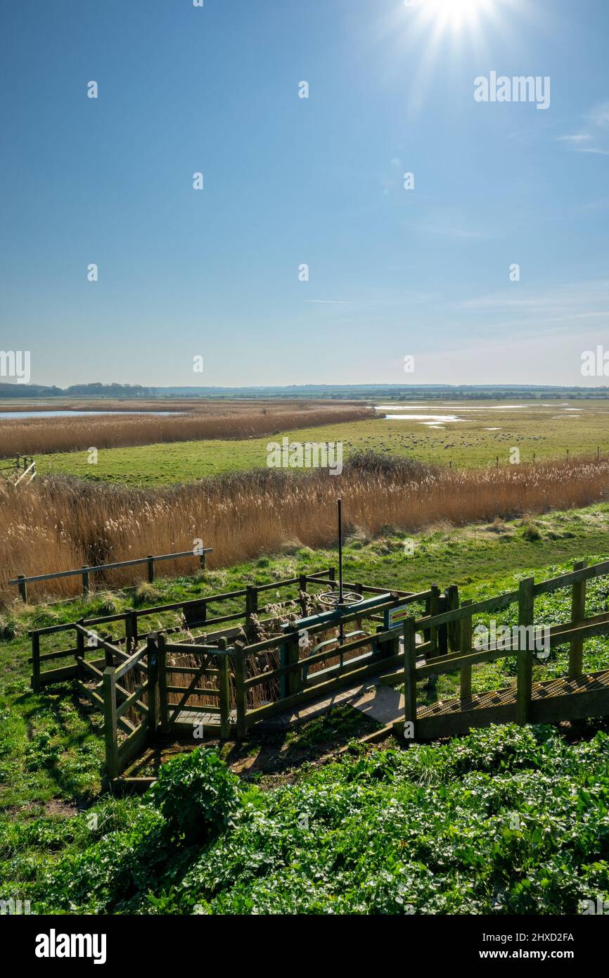 Wetland, Marshes, Holkham National Nature Reserve Stock Photo - Alamy