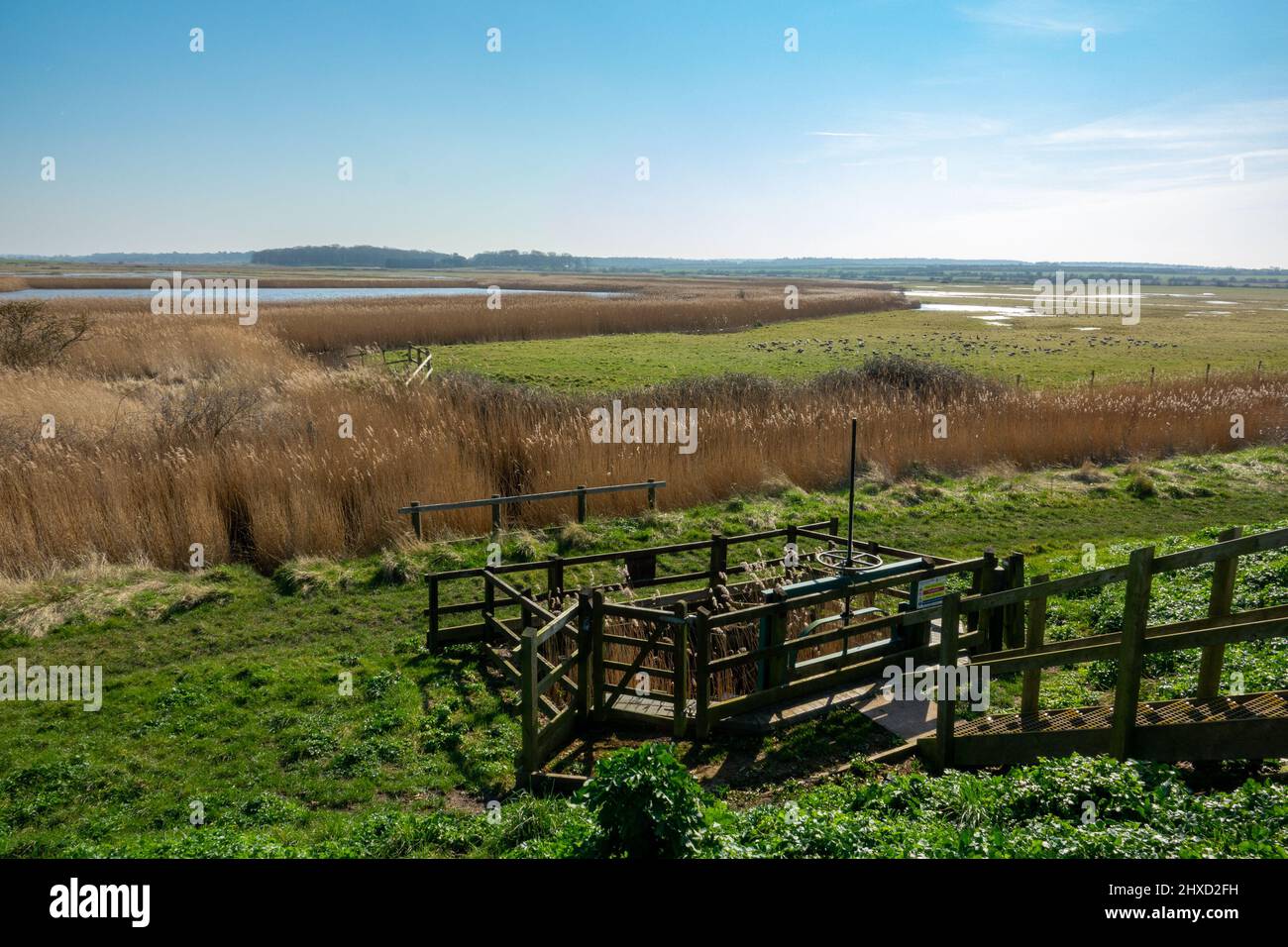 Wetland, Marshes, Holkham National Nature Reserve Stock Photo - Alamy