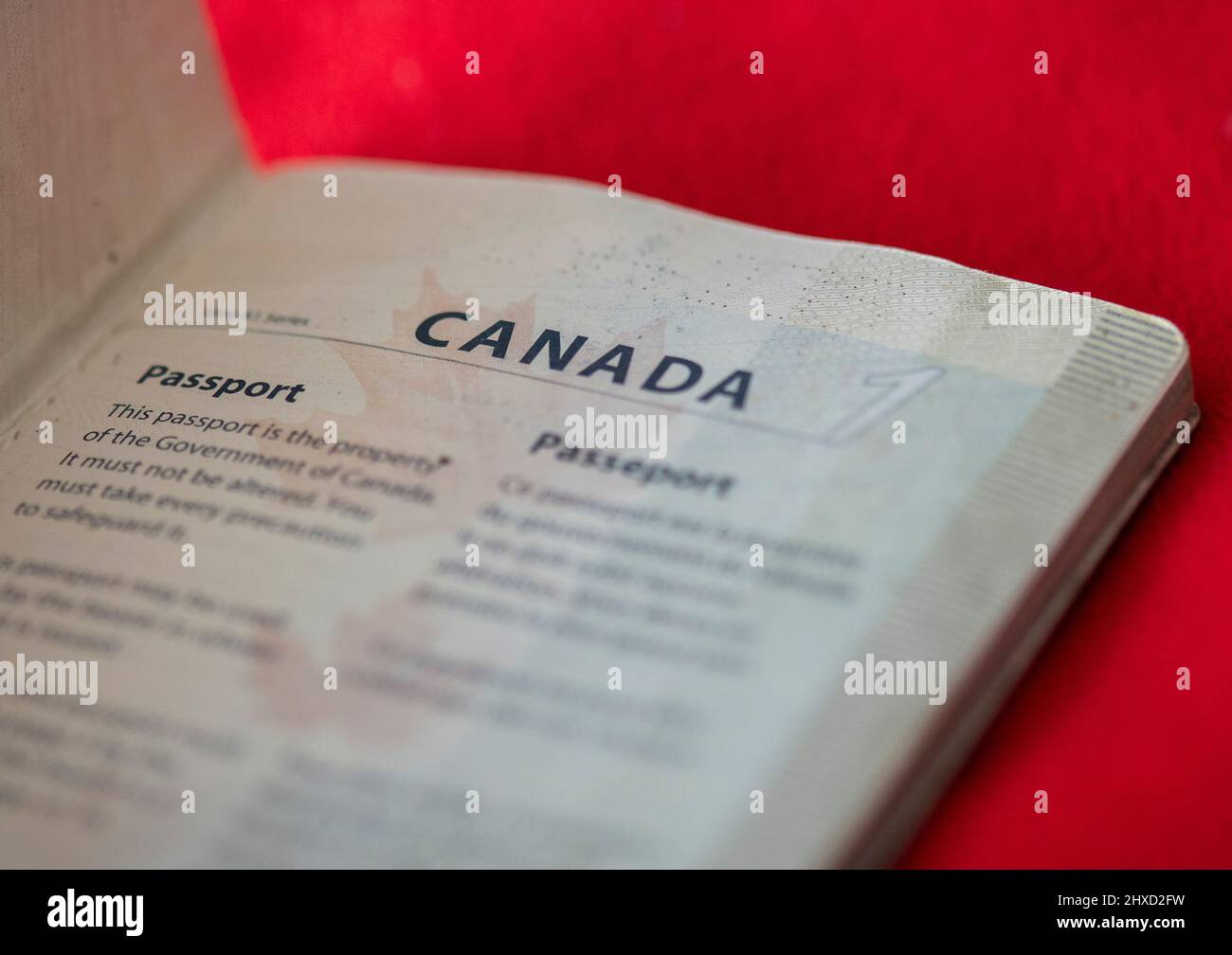 A Canadian passport on a red background Stock Photo - Alamy