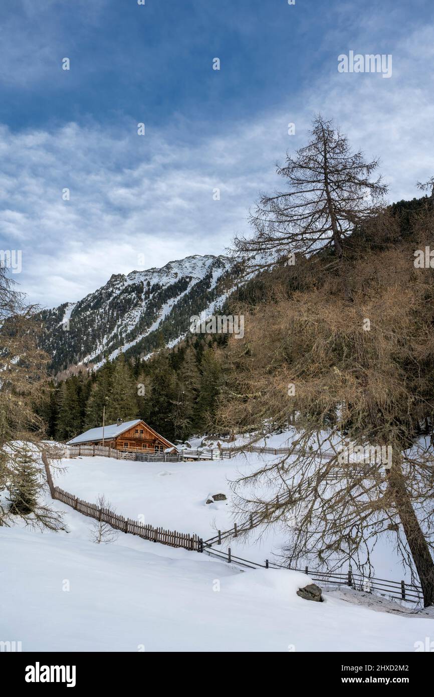 Italy the lercher alm in the oberwielenbach valley hi-res stock ...