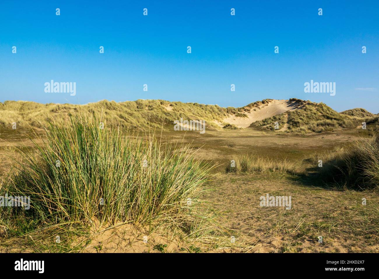 Holkham National Nature Reserve, Norfolk Stock Photo - Alamy