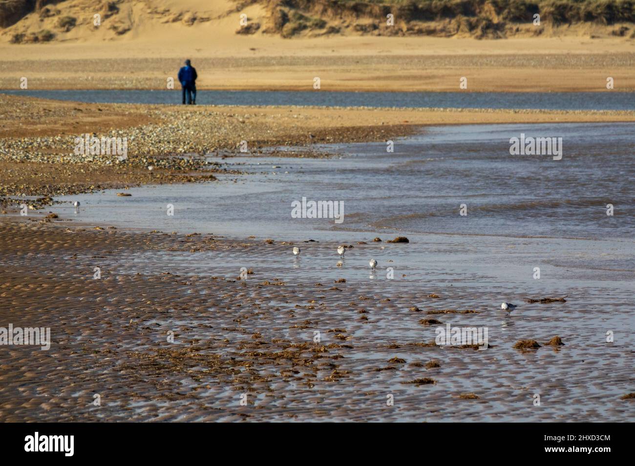 Overy Creek, Scolt Head Island, North Norfolk Stock Photo - Alamy