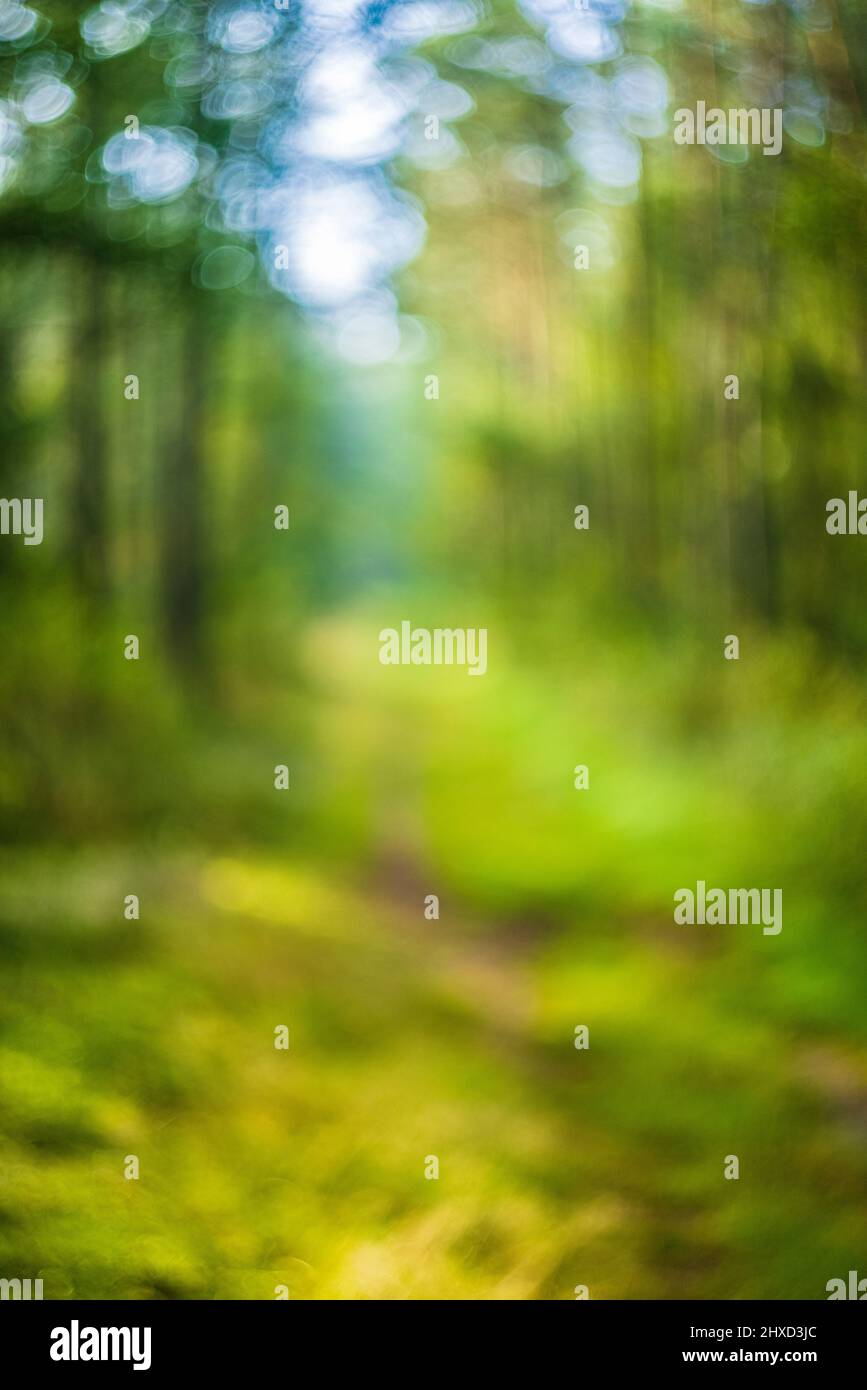 Bokeh natural background hi-res stock photography and images - Alamy